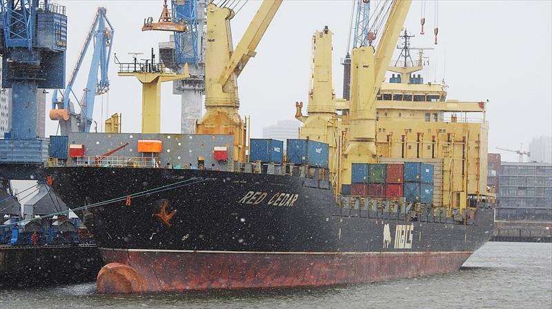 RED CEDAR - Vesseljoin