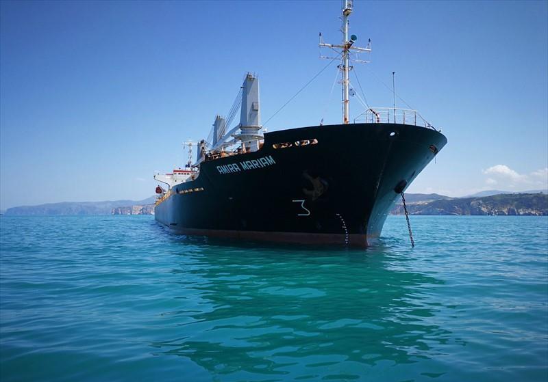 AMIRA MARIAM - Vesseljoin