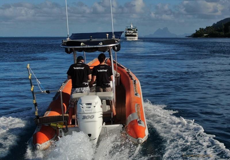 COCONUT NUI - Vesseljoin