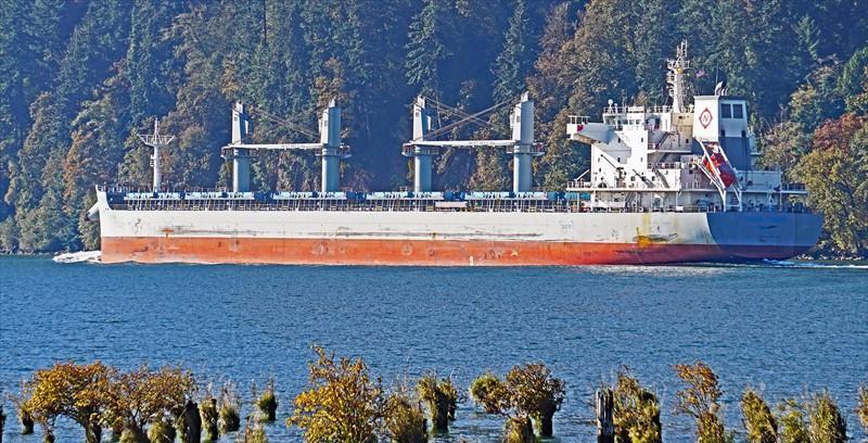 TAIKOO TRADER - Vesseljoin