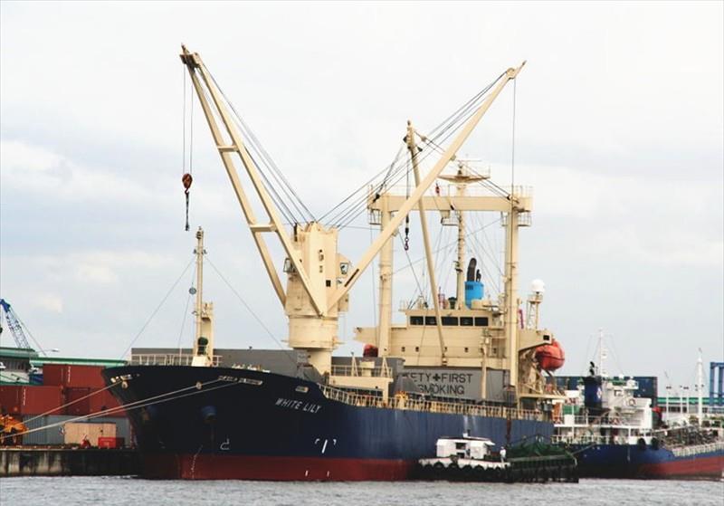 WHITE LILY - Vesseljoin