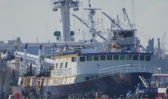 DISCOVERY 101 - Vesseljoin