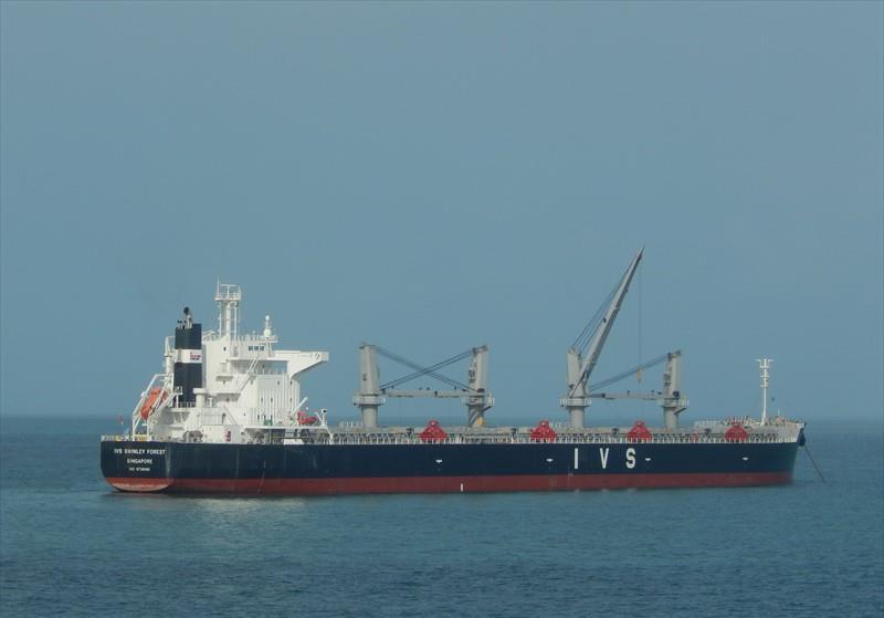 IVS SWINLEY FOREST - Vesseljoin