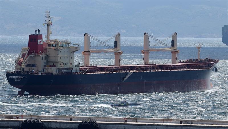 STRATEGIC TENACITY - Vesseljoin