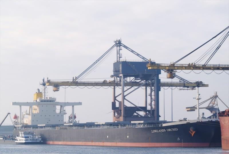 LOWLANDS ORCHID - Vesseljoin