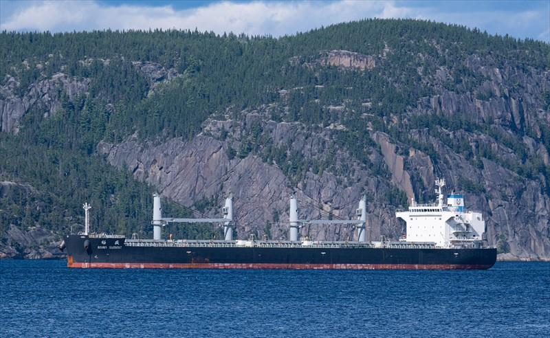 ASIAN SUMMIT - Vesseljoin