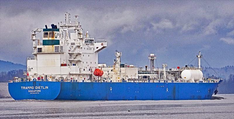 TRAMMO DIETLIN - Vesseljoin