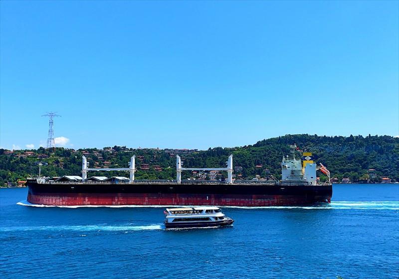 LOWLANDS FUTURE - Vesseljoin