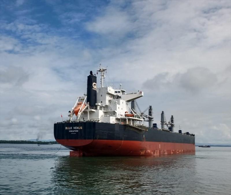 BULK VENUS - Vesseljoin