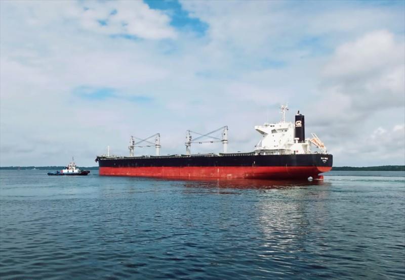 BULK VENUS - Vesseljoin