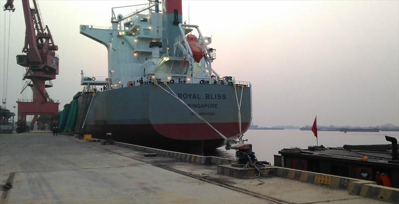 ROYAL BLISS - Vesseljoin