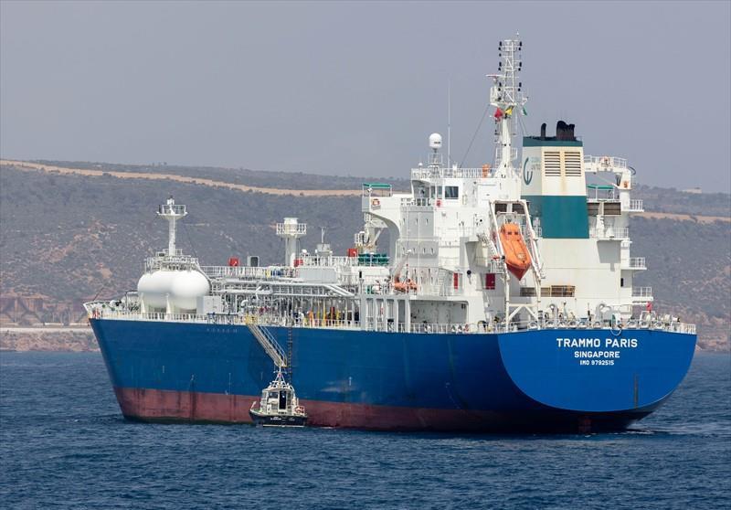 TRAMMO PARIS - Vesseljoin