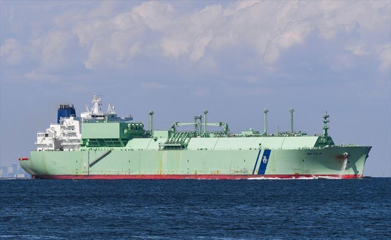 BW TULIP - Vesseljoin