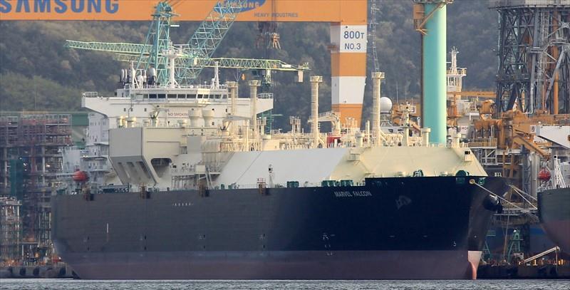 MARVEL FALCON - Vesseljoin