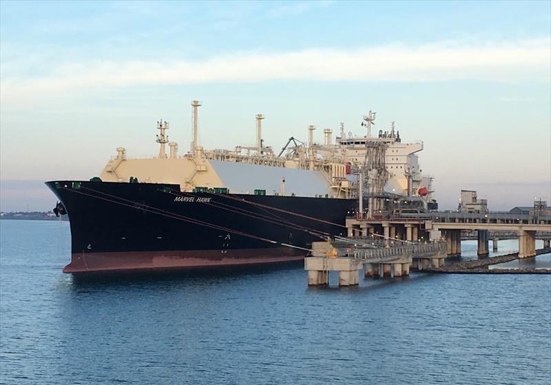 MARVEL HAWK - Vesseljoin