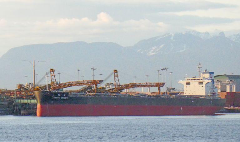 CEMTEX SINCERITY - Vesseljoin