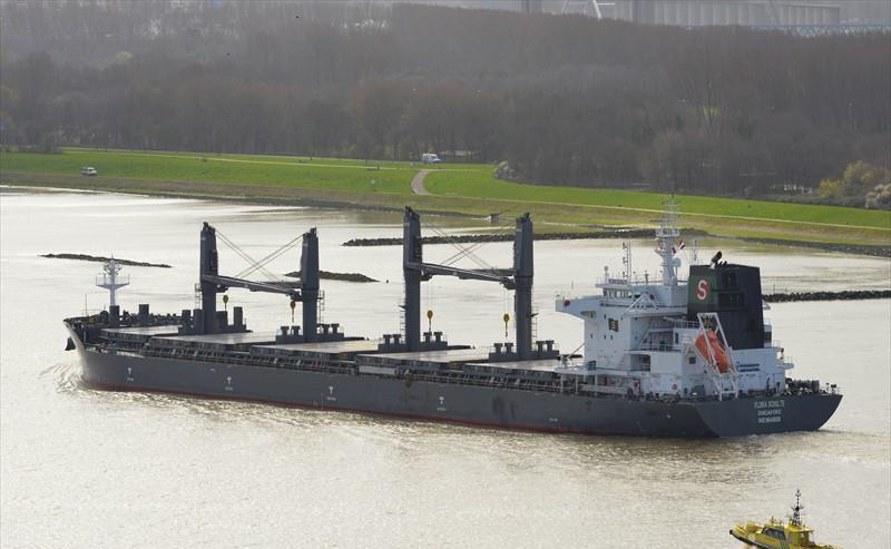 FLORA SCHULTE - Vesseljoin