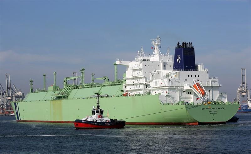 BW PAVILION ARANDA - Vesseljoin