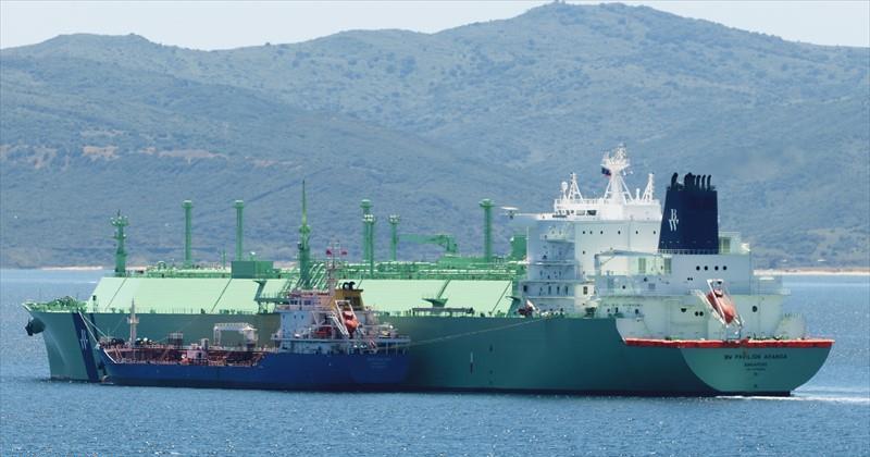 BW PAVILION ARANDA - Vesseljoin