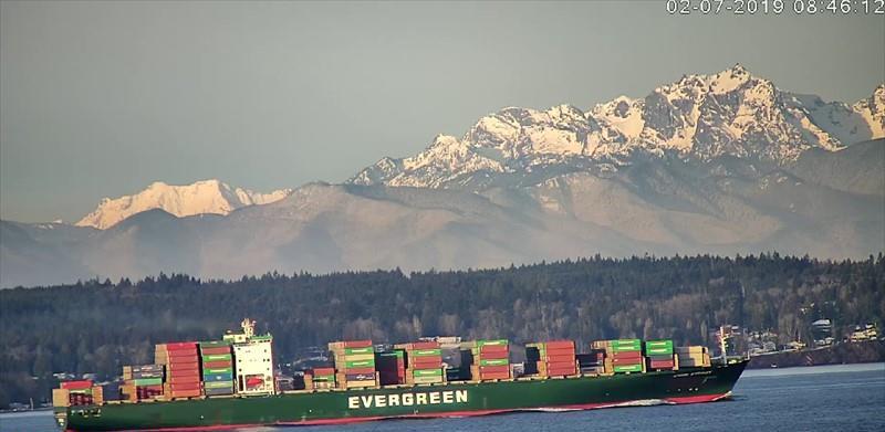 EVER STEADY - Vesseljoin