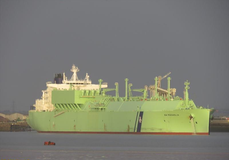 BW MAGNOLIA - Vesseljoin