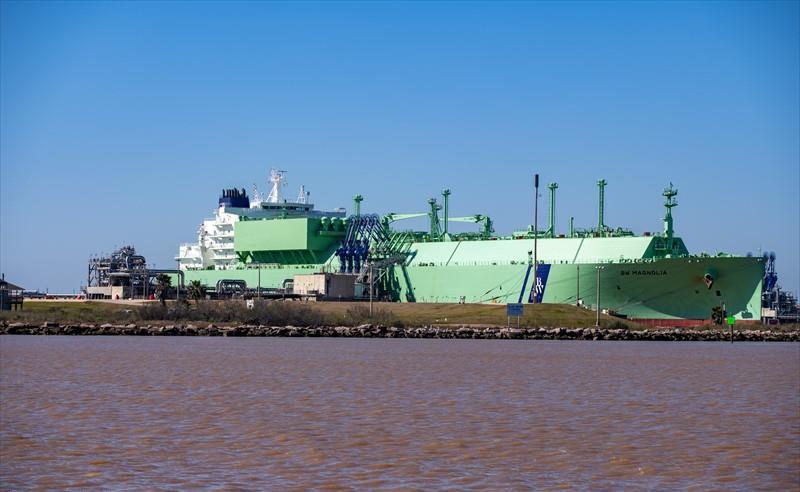 BW MAGNOLIA - Vesseljoin