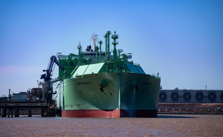 BW MAGNOLIA - Vesseljoin