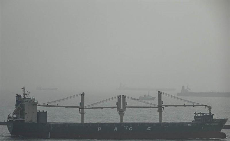 PAC SEGINUS - Vesseljoin