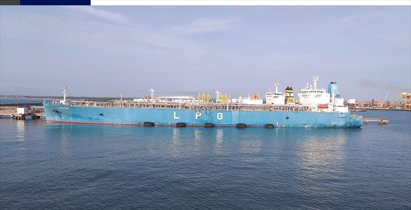 SALTRAM - Vesseljoin