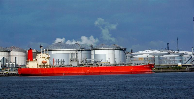 PICO BASILE - Vesseljoin