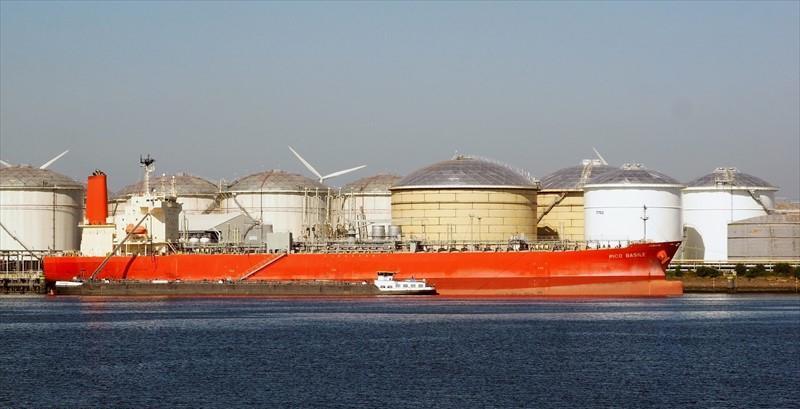 PICO BASILE - Vesseljoin