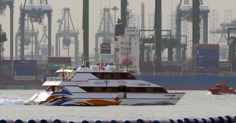 GOLDEN IMAGE - Vesseljoin