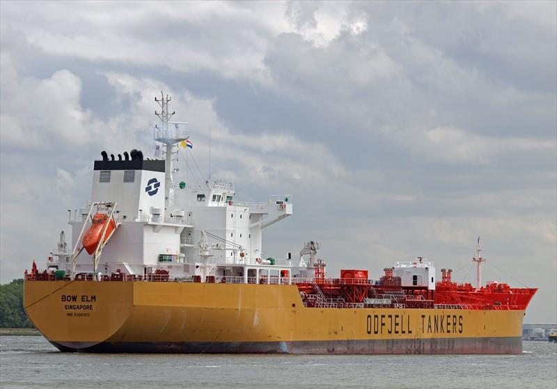 BOW ELM - Vesseljoin