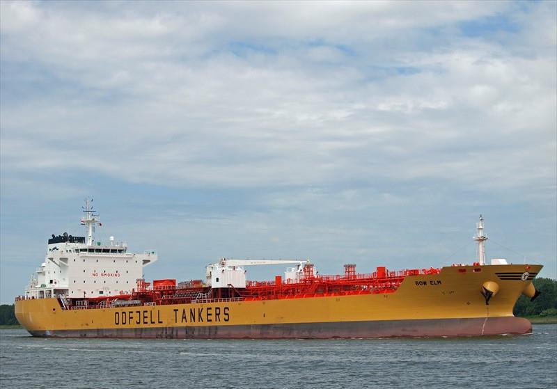 BOW ELM - Vesseljoin