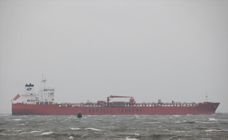 BOW ELM - Vesseljoin