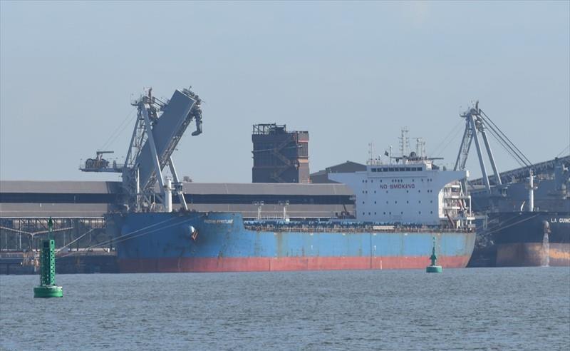 INDUS FORTUNE - Vesseljoin