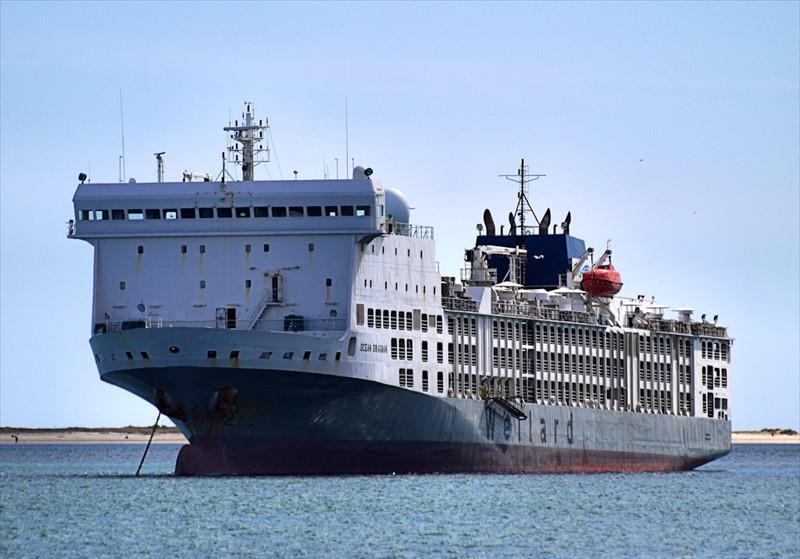 OCEAN SWAGMAN - Vesseljoin