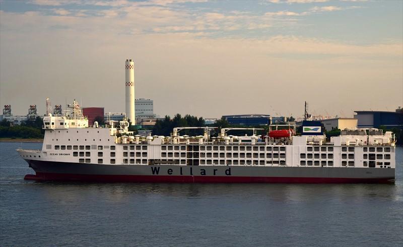 OCEAN SWAGMAN - Vesseljoin