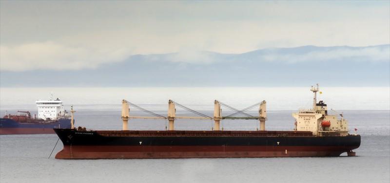 OCEAN PHOENIX - Vesseljoin