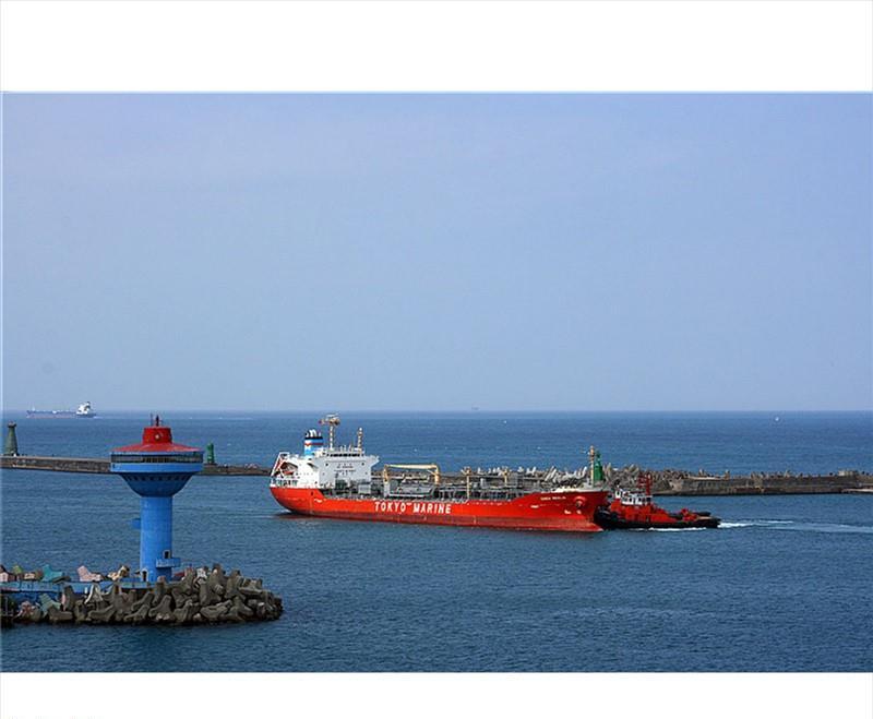 GINGA MERLIN - Vesseljoin