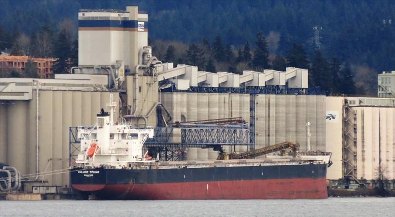 VALIANT SPRING - Vesseljoin