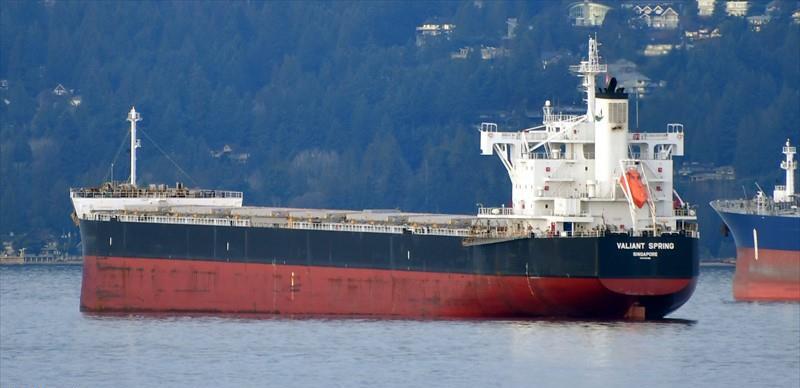 VALIANT SPRING - Vesseljoin