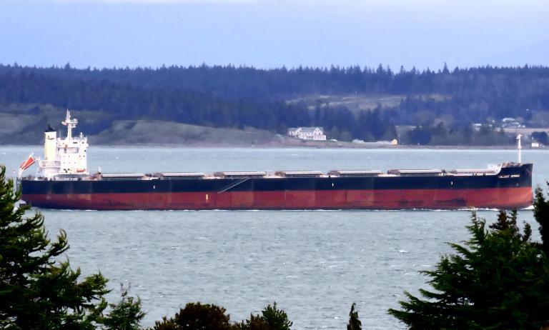 VALIANT SPRING - Vesseljoin