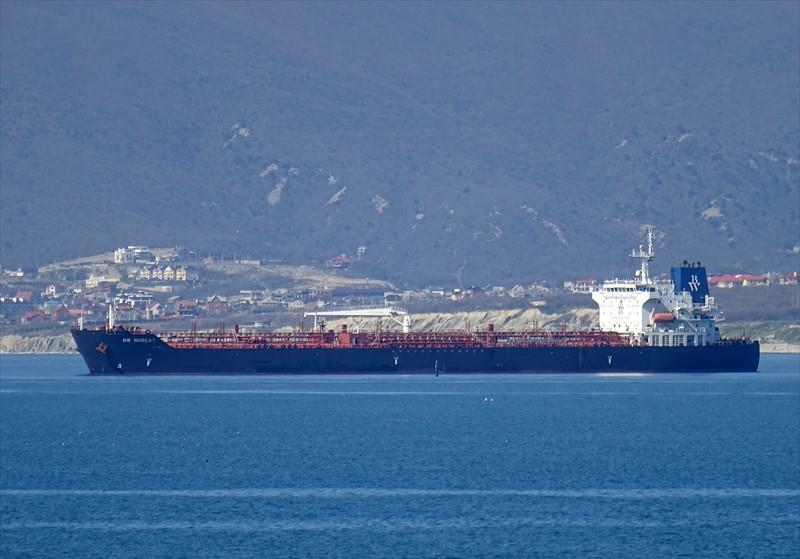 BW BOBCAT - Vesseljoin