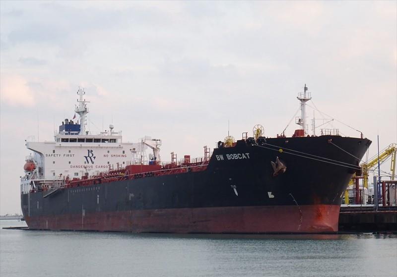 BW BOBCAT - Vesseljoin