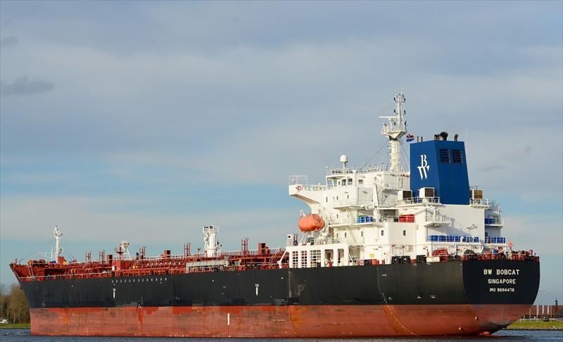 BW BOBCAT - Vesseljoin