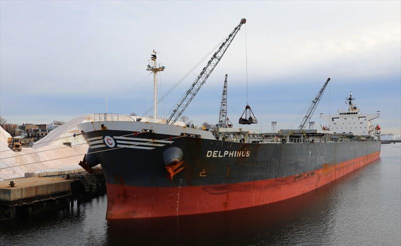 DELPHINUS - Vesseljoin