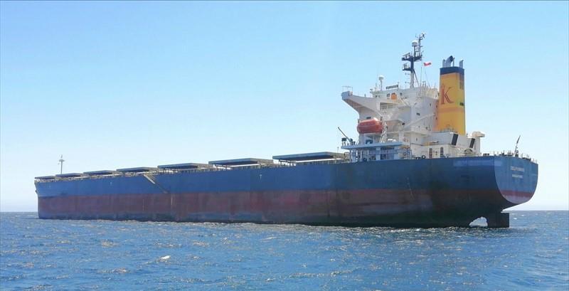 DELPHINUS - Vesseljoin