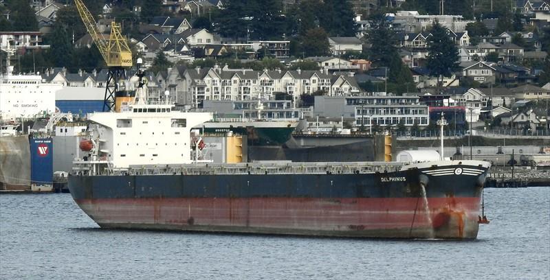 DELPHINUS - Vesseljoin