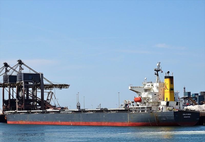 DELPHINUS - Vesseljoin